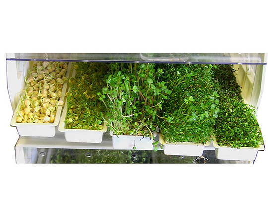 Kiełkownica EasyGreen Light - Sana-Store.com